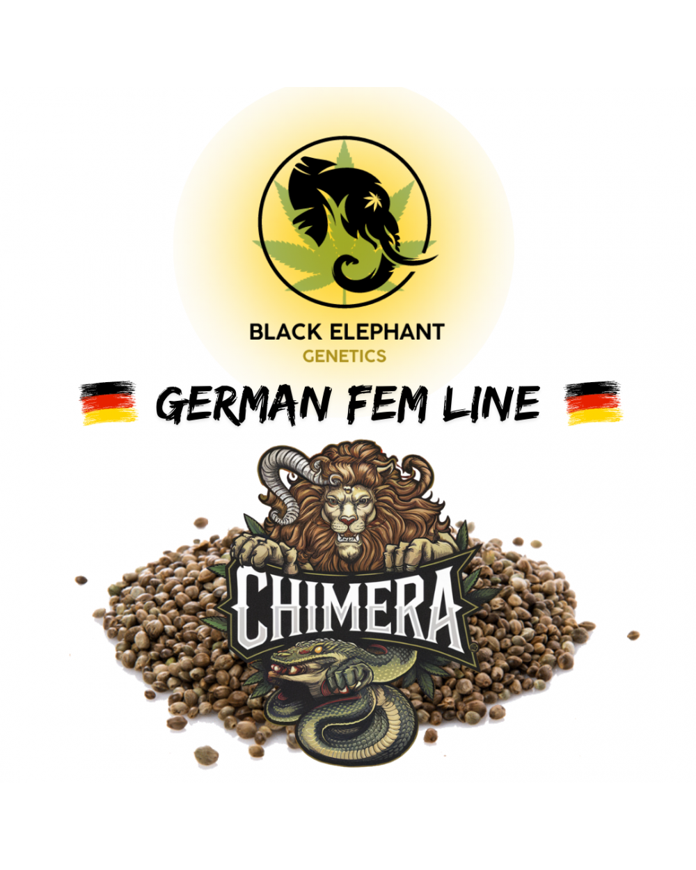 CHIMERA - Genética Feminizada Premium | Black Elephant Genetics